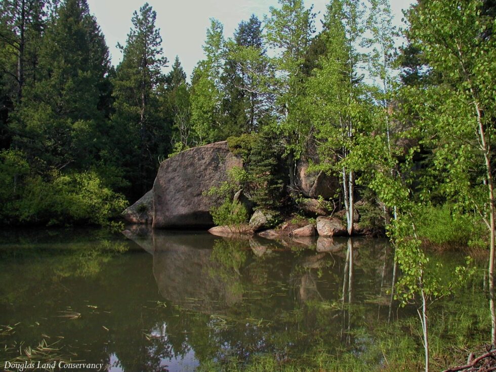 World Environment Day 2026 - Douglas Land Conservancy